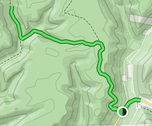 Hammersley Fork Via Elkhorn Trail: 34 Reviews, Map - Pennsylvania ...
