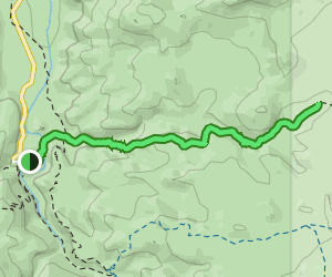 Fern Canyon Trail: 56 Reviews, Map - California | AllTrails