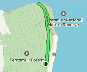 Tentsmuir Forest Beach Path: 40 Reviews, Map - Fife, Scotland | AllTrails