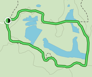 Buzzard Swamp Loop Trail: 48 Reviews, Map - Pennsylvania | AllTrails