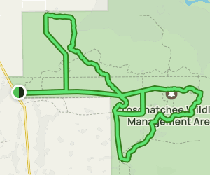 Tosohatchee Wildlife Management Area White, Yellow, and Florida Trail ...