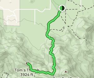 Tom's Thumb Trail: 10471 Reviews, Map - Arizona | AllTrails