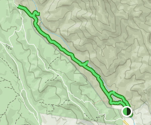 Blue Gum Loop and Rocky Crossing Track: 65 Reviews, Map - New South Wales, Australia | AllTrails