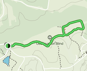 Shaw Wetland Trail: 114 Reviews, Map - Missouri | AllTrails