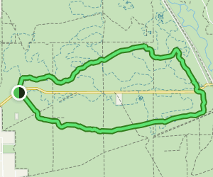 Croom Zoom Loop: 95 Reviews, Map - Florida | AllTrails