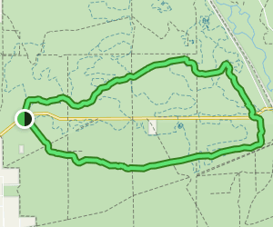 Croom Zoom Loop, 351 Fotos - Florida | AllTrails