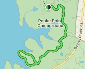 Jordan Lake Poplar Trail: 48 Reviews, Map - North Carolina | AllTrails