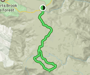 Barrington Tops Plateau Track | Map, Guide - New South Wales, Australia ...