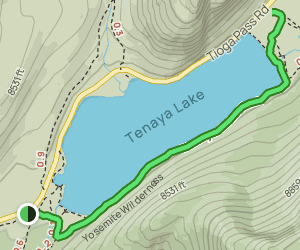 Tenaya Lake Trail: 433 Reviews, Map - California | AllTrails