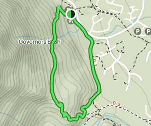 Governors Bush Track: 56 Reviews, Map - Canterbury, New Zealand | AllTrails