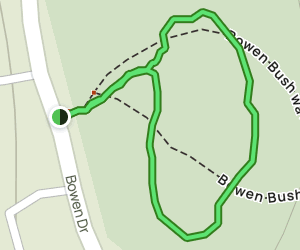 Bowen Bush Walk: 9 Reviews, Map - Canterbury, New Zealand | AllTrails