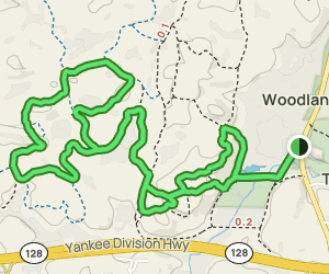 Pulpit Rock and Ancient Line Loop : 257 foto's - Massachusetts | AllTrails