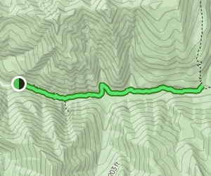 Swift Creek Trail: 54 Reviews, Map - Wyoming | AllTrails