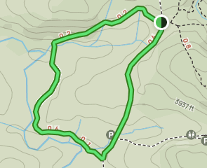 River Walk: 2 Reviews, Map - New South Wales, Australia | AllTrails