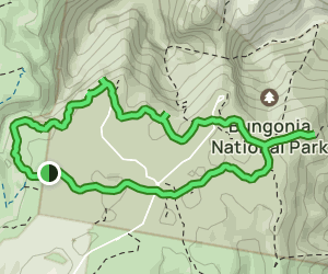Bungonia Green Track: 139 Reviews, Map - New South Wales, Australia ...