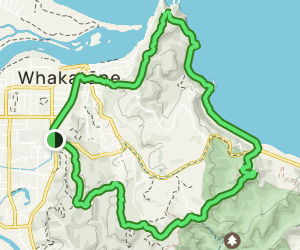 Nga Tapuwae o Toi and Kohi Point Walkway Loop: 58 Reviews, Map - Bay of ...