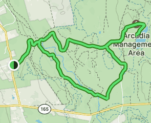 Plain Road, Breakheart Pond Trail, and Sand Hill Trail Loop: 62 Reviews ...
