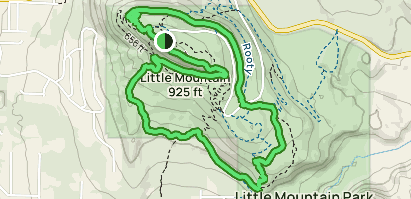 What Does It Mean When Your Dog Huffs And Puffs