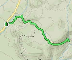 Waitonga Falls Track: 127 Reviews, Map - Manawatu-Wanganui, New Zealand ...