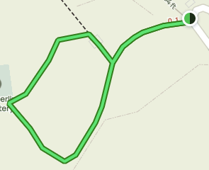 Mount Locust Stand, Mississippi - 5 Reviews, Map | AllTrails