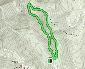 Entry Run and Rosser-Lamb Trail Loop: 140 fotos - Virgínia | AllTrails