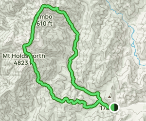 Mount Holdsworth Jumbo Circuit: 60 Reviews, Map - Wellington, New ...