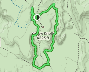 Black Gulch and Yellow Knolls Loop: 277 foto - Utah | AllTrails