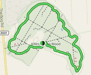 Killinthomas Wood | Coillín Tomáis: 99 Reviews, Map - County Kildare ...