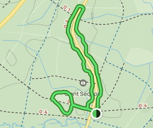 Tall Trees Trail Circular: 459 Reviews, Map - Hampshire, England ...