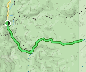 Palm Canyon Trail to Vandeventer Trail: 111 Reviews, Map - California ...