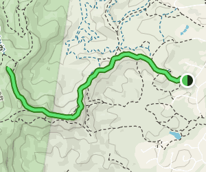 Spring Mountain Trail : 237 Reviews, Map - Queensland, Australia ...