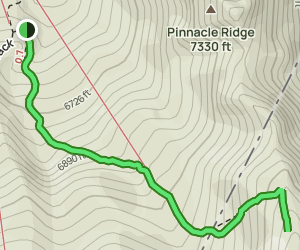 Skyline Track from Sky Waka Gondola Station: 40 Reviews, Map - Manawatu ...