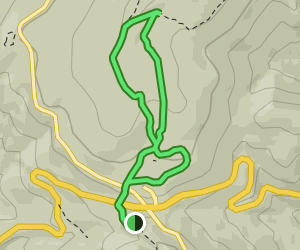 Pass Mountain and Appalachian Trail Loop: 93 Reviews, Map - Virginia ...