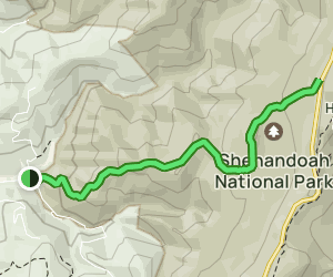 Powell Mountain Trail: 85 Reviews, Map - Virginia | AllTrails