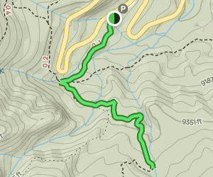 Alberta Falls Trail: 3104 Reviews, Map - Colorado | AllTrails