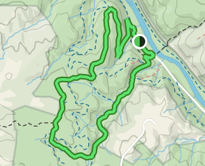 Cascade Falls Loop Trail , Maryland - 2,129 Reviews, Map | AllTrails
