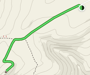 Bear Mountain and Mauch Chunk Fire Tower: 15 Reviews, Map ...