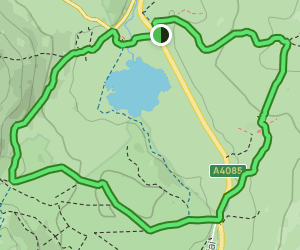 Beddgelert Forest and Rhyd Ddu Path Circular: 14 Reviews, Map - Gwynedd ...