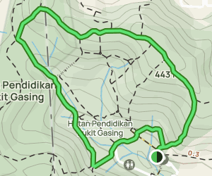 Taman Rimba Bukit Kerinchi - Taman Pendidikan Bukit Gasing: 191 Reviews, Map - Kuala Lumpur ...