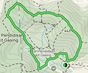 AllTrails | Taman Rimba Bukit Kerinchi - Taman Pendidikan Bukit Gasing ...