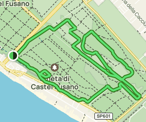 Ostia Infernetto - Pineta di Castel Fusano: 2 foto - Lazio, Italy ...