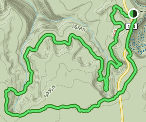 Neck Spring Trail: 503 Reviews, Map - Utah | AllTrails