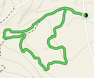 Green Woodlands Loop Trail: 1 Reviews, Map - New Hampshire | AllTrails