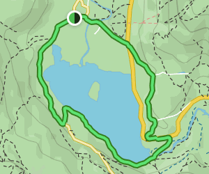 Grasmere Lake Circular: 355 Reviews, Map - Cumbria, England | AllTrails