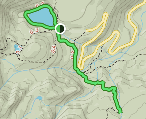 Alberta Falls and Bear Lake, Colorado - 1,470 Reviews, Map | AllTrails