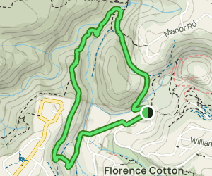 Blue Gum Walk Loop: 465 Reviews, Map - New South Wales, Australia ...
