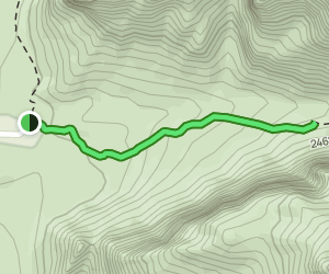 Palm Canyon Trail: 326 Reviews, Map - Arizona | AllTrails
