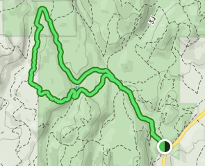 Dinosaur Ridge, British Columbia, Canada - 70 Reviews, Map | AllTrails
