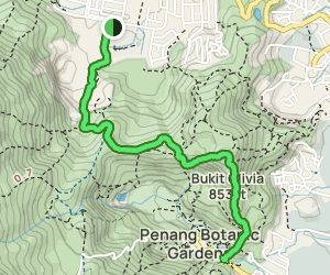 Olivia Hill - Moongate via Tanjung Bungah: 3 Reviews, Map - Penang ...