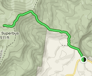 Mount Superbus Trail: 45 Reviews, Map - Queensland, Australia | AllTrails